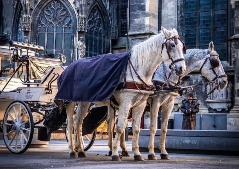 Wiener Fiaker Ride | Time Travel Vienna